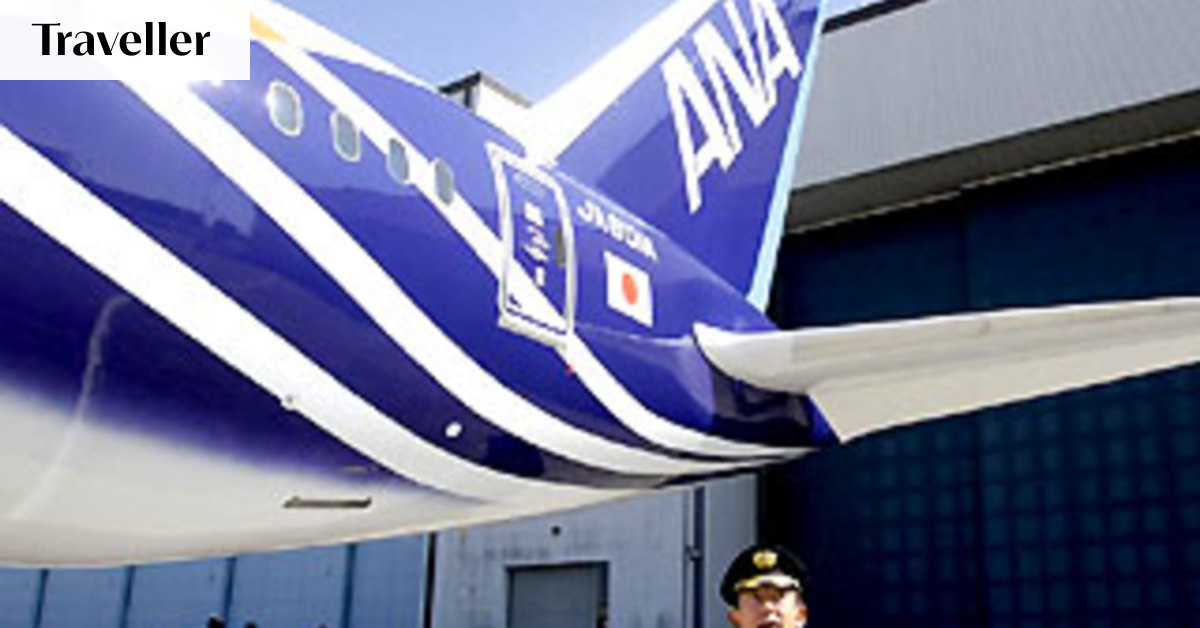 Dreamliner takes flight