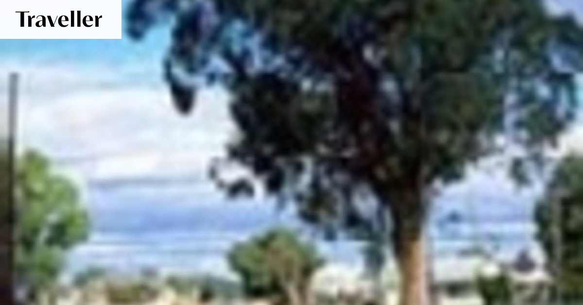Binnaway, New South Wales: Travel guide and things to do