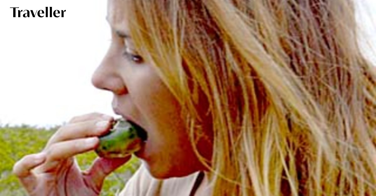 peyote trip simulation