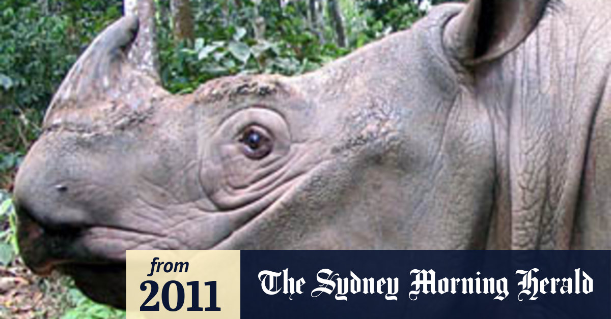 Folly and wanderlust