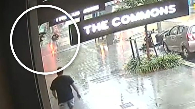 Dog killed after stepping on electrified manhole on street in Sydney’s ...