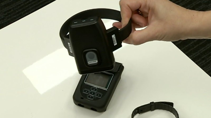 Queensland government’s ankle monitoring plans met with criticism