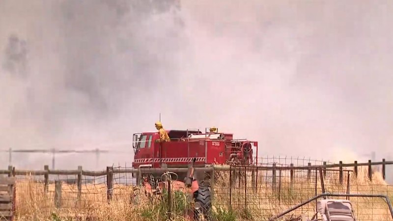 Auditor-General’s office denies responsibility for delays in CFA annual ...