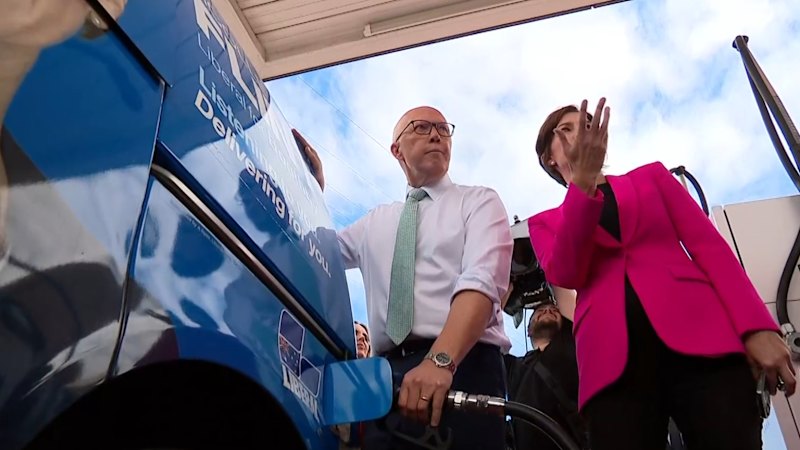 Dutton blamed for Liberal election fail