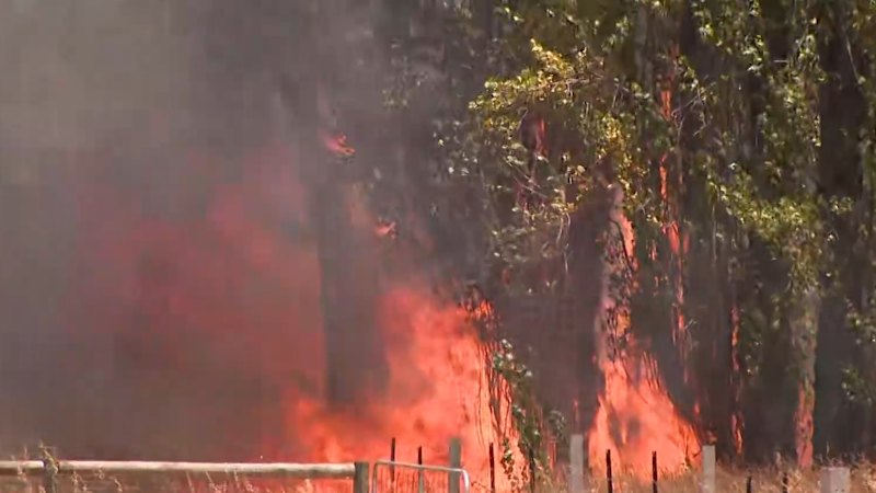 Almost 300 homes wiped out by bushfires as next fire danger period flagged