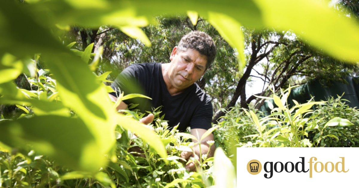 Australia's first bush food symposium begins in Sydney