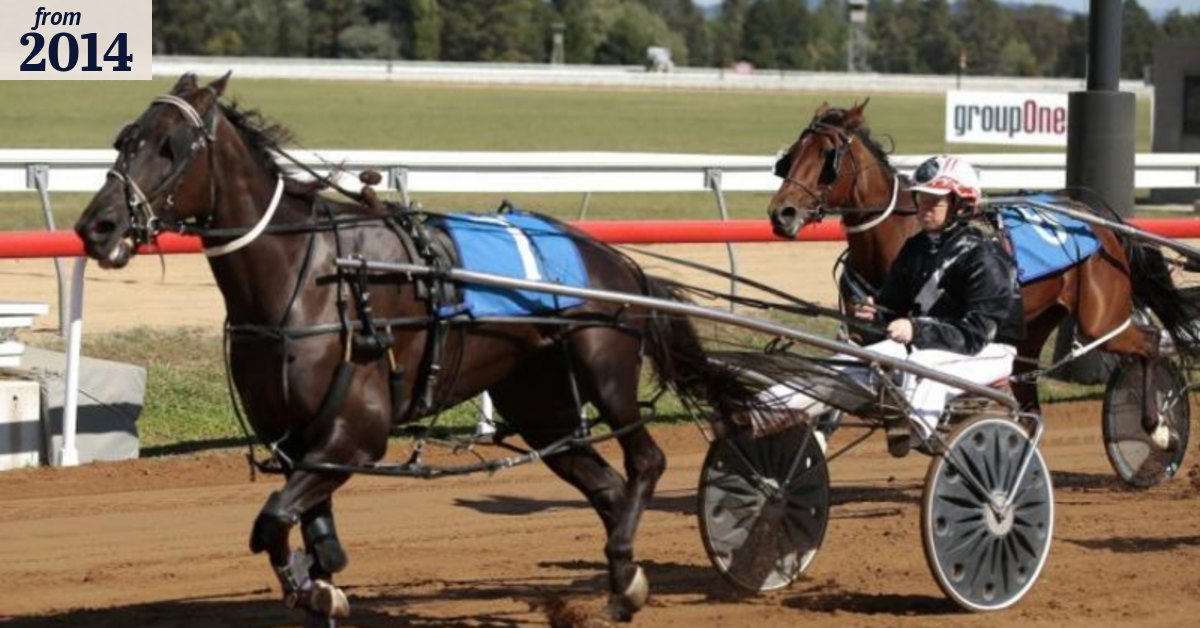 Canberra trainer scores treble