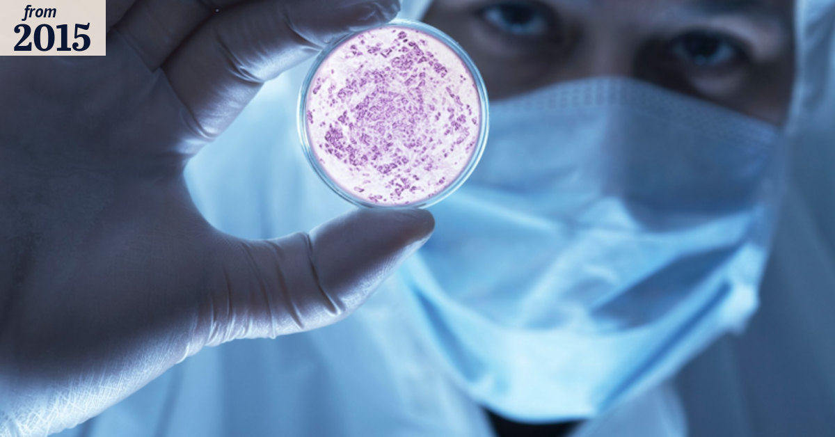 Western hygiene could rob us of useful gut bacteria: study
