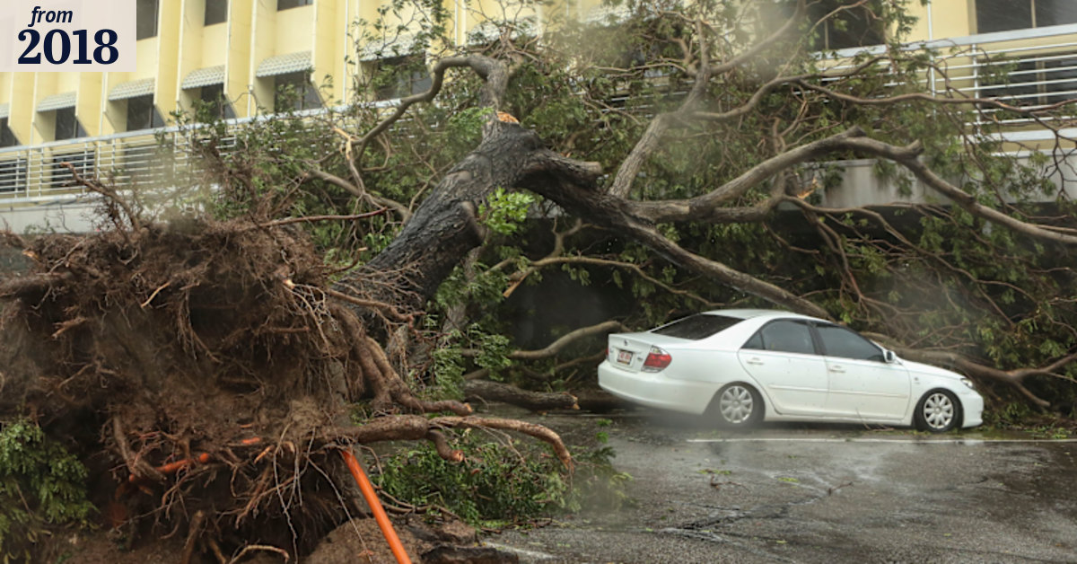 Tropical Cyclone Marcus: Darwin hit with "destructive" 130km/h gusts