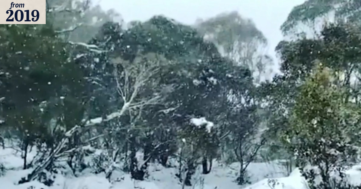 Record levels of snowfall in NSW
