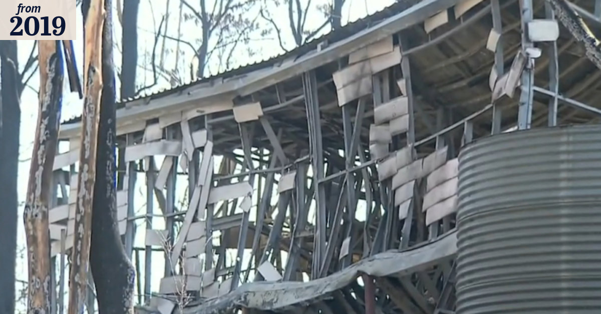 Beechmont fire devastation revealed