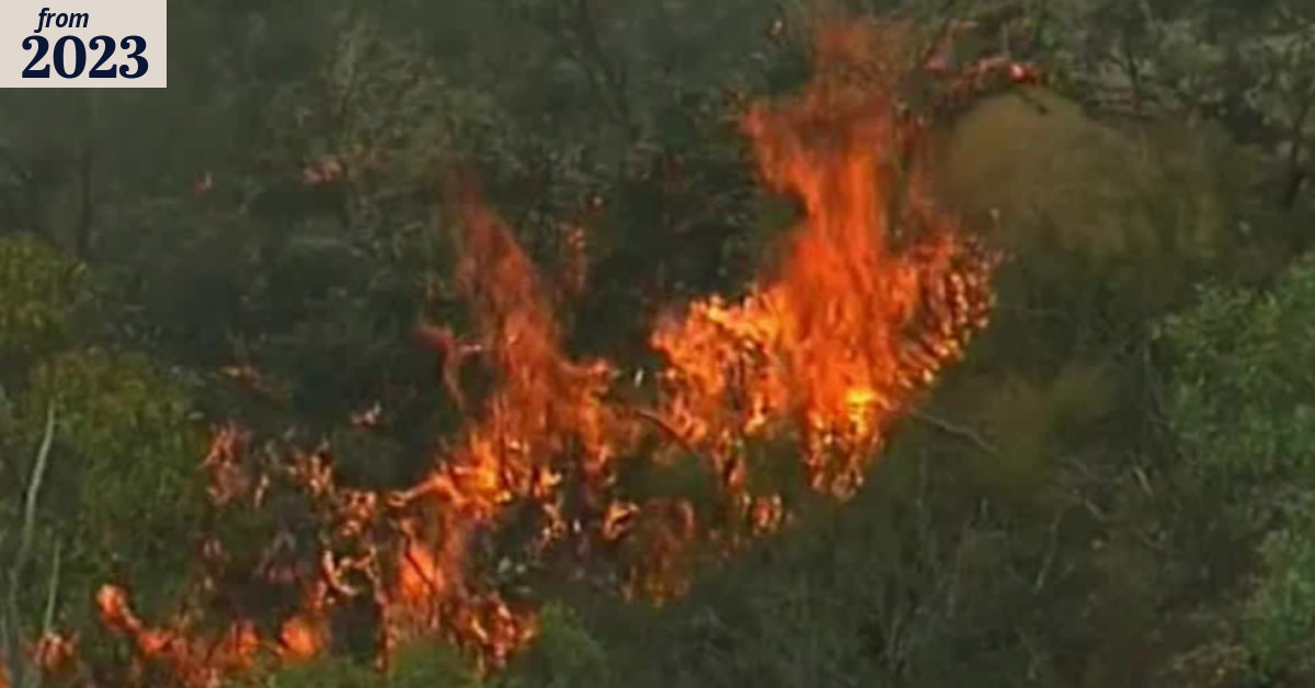 Man found guilty of lighting bushfire