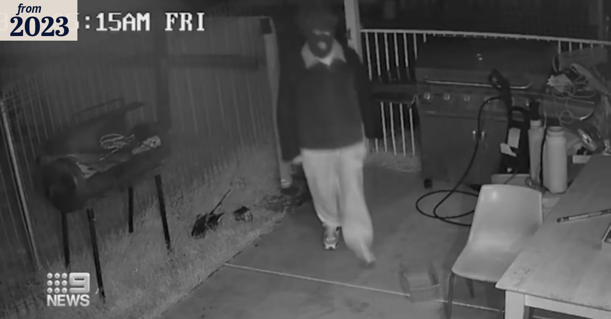 Boy praised for bravery after fending off alleged kidnapper