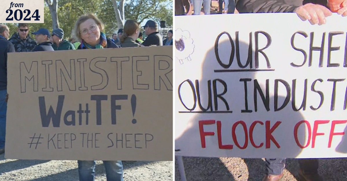 Thousands descend on Wheatbelt in sheep export ban protest