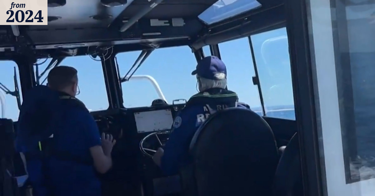 Sailor found alive day after falling from cargo ship