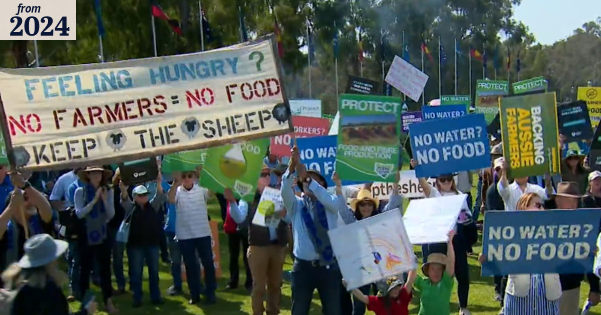 Farmers protest government's live sheep export ban