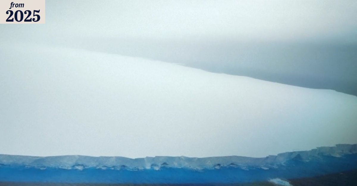 World’s biggest iceberg runs aground off Antarctica