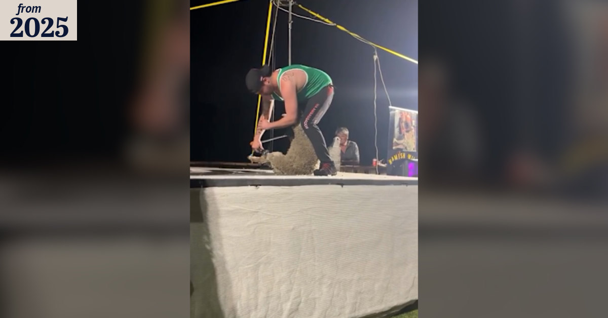 WA man shears a sheep in just 14 seconds