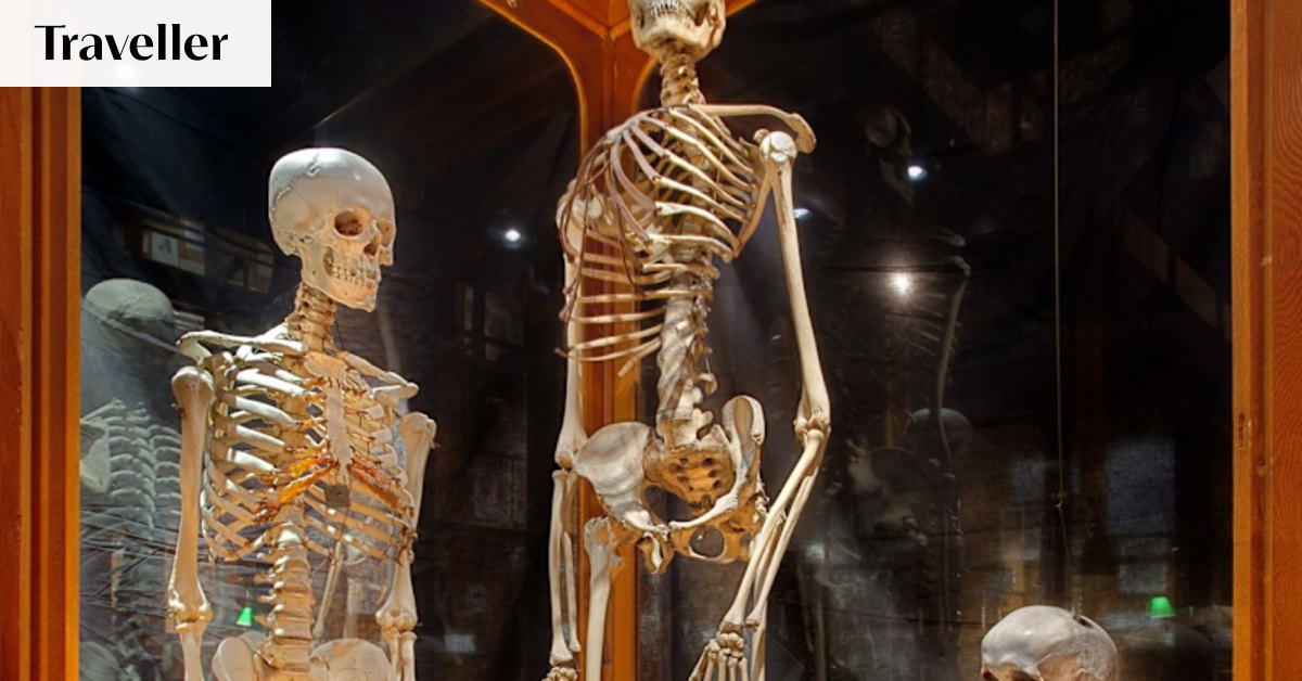 world's largest colon mutter museum