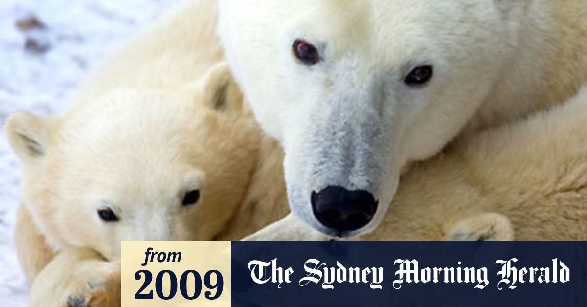 Endangered sites see boom in 'tourism of doom'