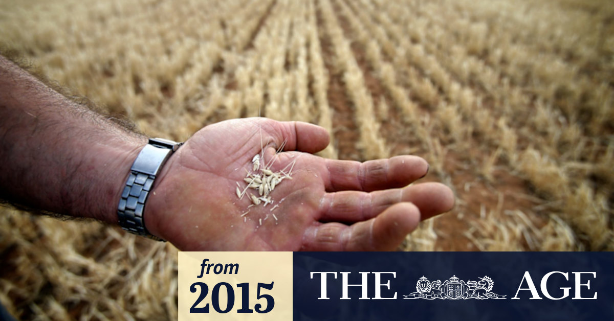 Wedderburn, Victoria: Travel guide and things to do